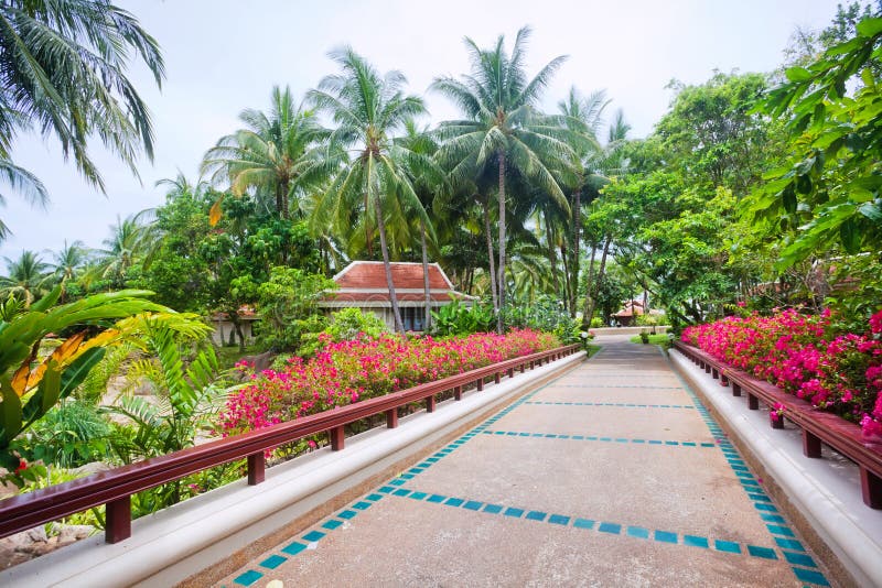 Spa Sign Board in Balinese Resort Stock Photo - Image of boards, garden ...