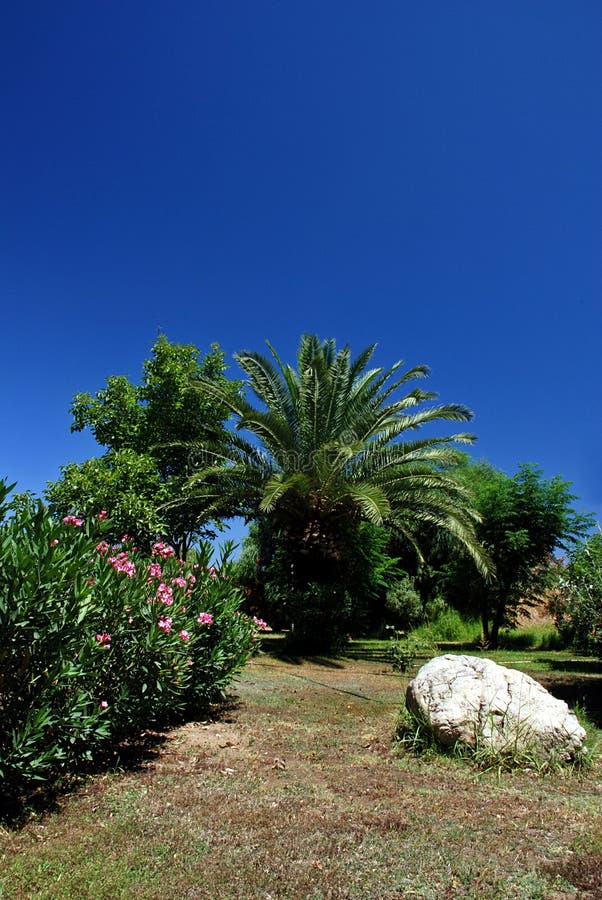 Tropical garden stock image. Image of beautiful, boulder - 2829285