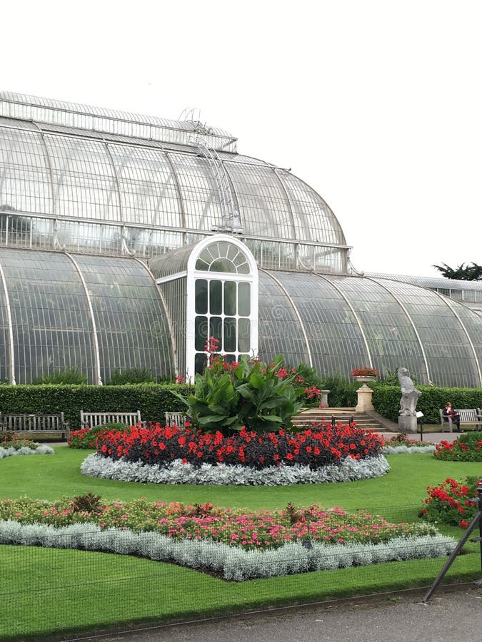 Tropical garden editorial image. Image of tropical, garden - 77047905