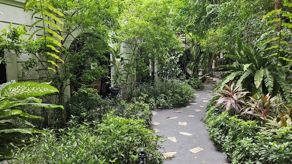 Tropical Garden Path Surrounded by Dense Greenery Stock Image - Image ...