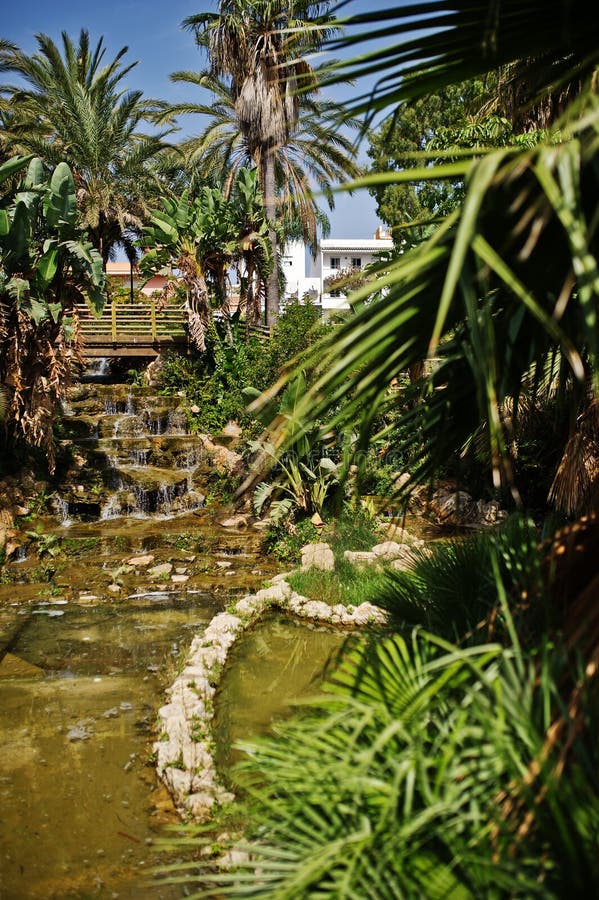Tropical Garden with a Small Artificial Pond and Palm Trees Around it ...