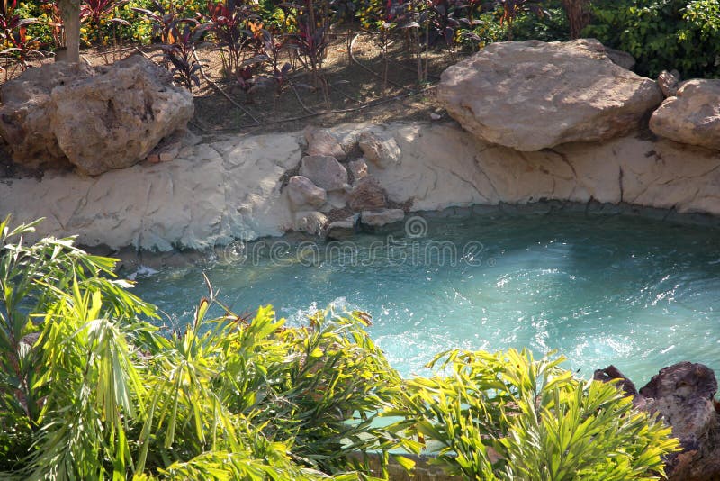 Tropical garden stream stock photo. Image of environment - 84457136