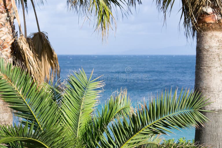 Tropical glimpse stock image. Image of scenic, relax - 28305351