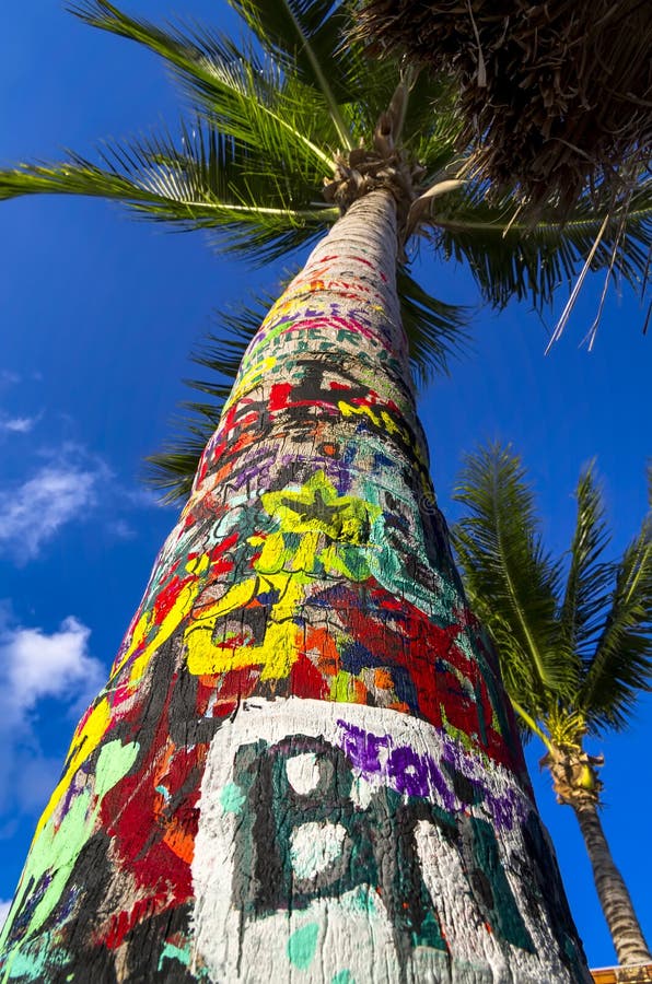 Tropical Graffiti Tree stock image. Image of trunk, messages - 29688975
