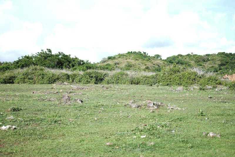 Tropical Green Grass Land on the Mountain Stock Photo - Image of hill ...