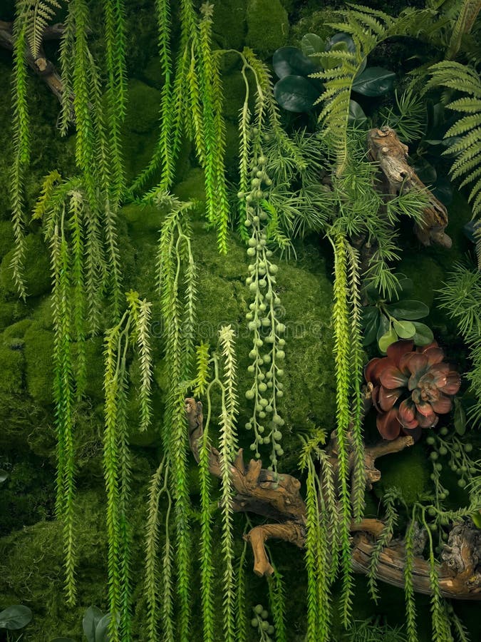 Tropical Green Leaves Background, Nature Wall Lush Foliage Leaf Texture ...