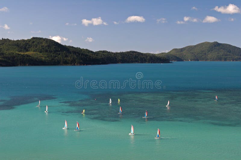 Hamilton Island Poolside Bar Stock Image - Image of travel, unwind: 1787271