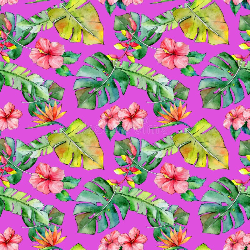 Tropical Hawaii Leaves Pattern in a Watercolor Style. Stock ...