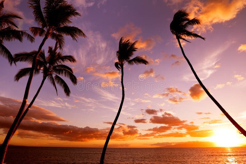 Sunset stock image. Image of background, island, indonesia - 1837589