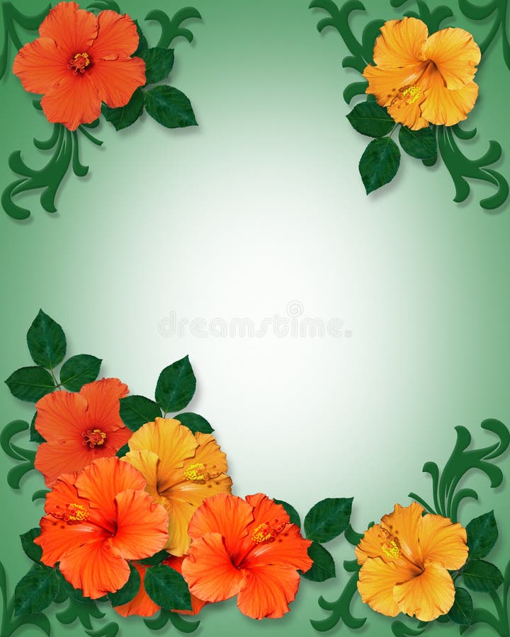 Tropical Hibiscus Flowers Background Stock Illustration - Illustration ...