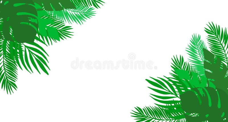 Tropical Horizontal Frame with Beautiful Tropical Leaves. Summer ...