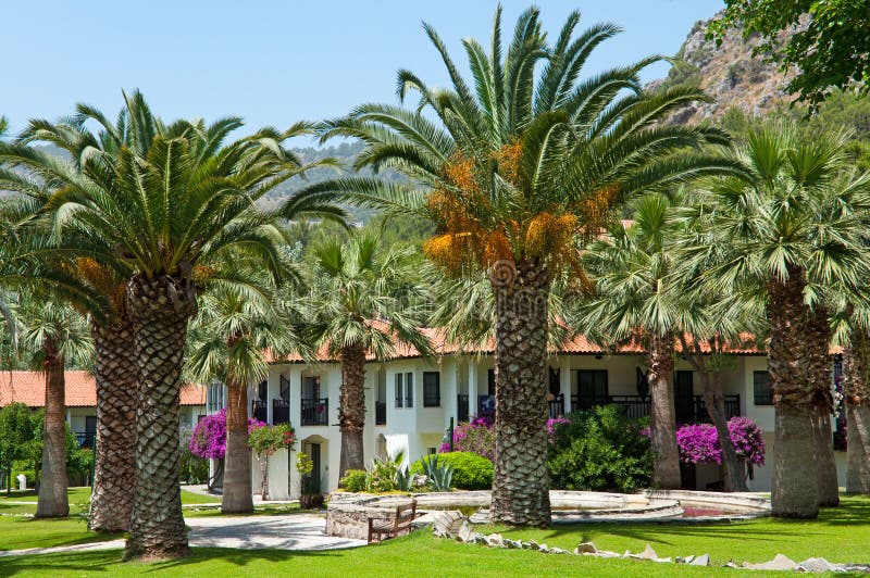 Tropical Hotel with Palm Trees Stock Image - Image of tree, holiday ...
