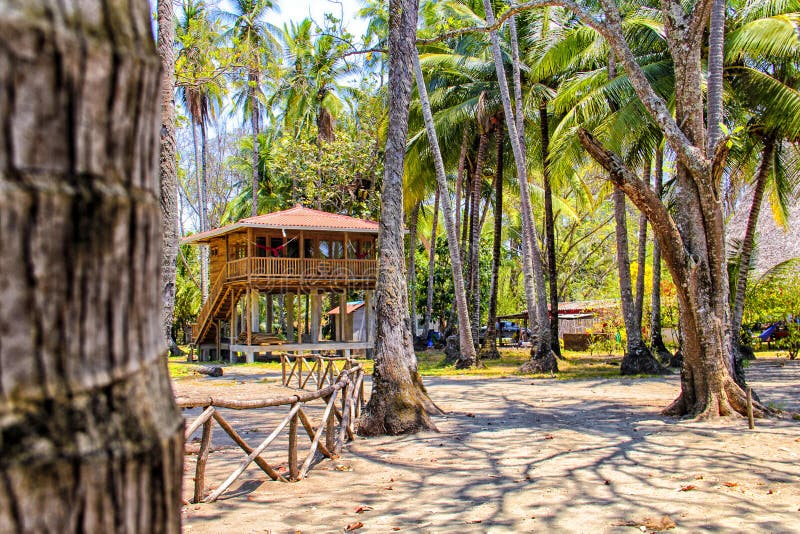 Tropical house stock photo. Image of architecture, modern - 94994096