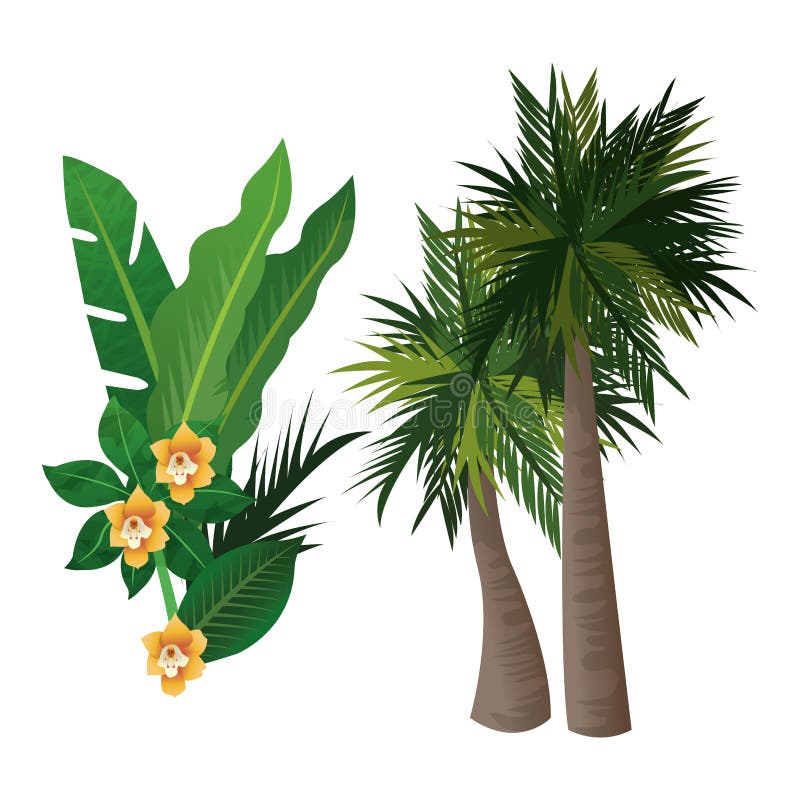 Tropical icon design stock vector. Illustration of environment - 67622401