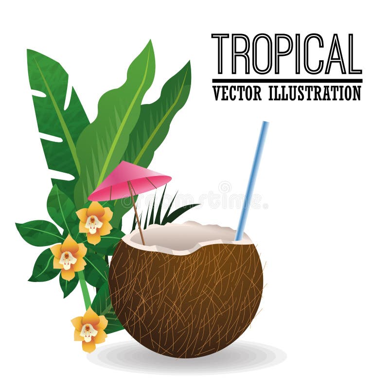 Tropical icon design stock vector. Illustration of detail - 67622423
