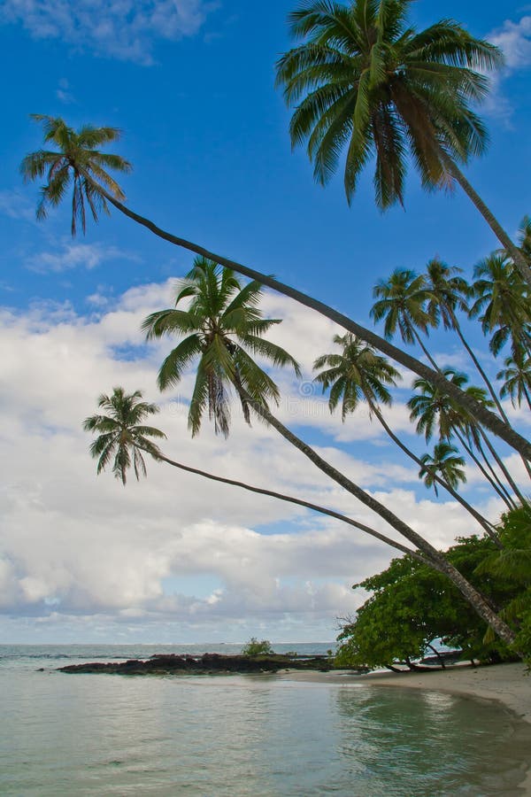 Blue Sky And The Sea In The Tropical Island Samoa Stock Photo - Image ...