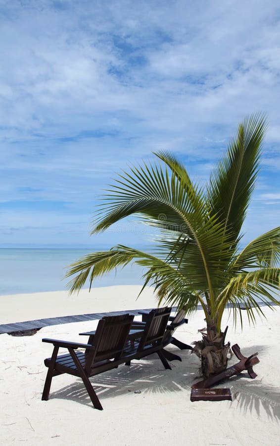 Tropical island stock image. Image of marina, natural - 19596549