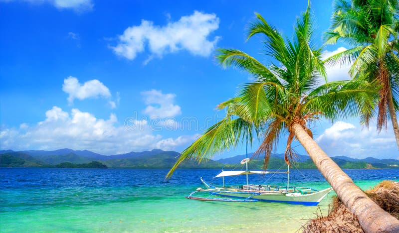 Tropical island stock photo. Image of blue, palm, asia - 9821288