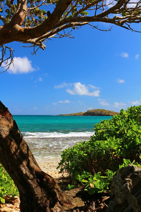 Tropical Island stock photo. Image of virgin, scene, turquoise - 88526570