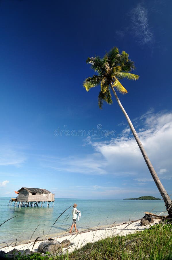 Tropical Island with Clear Blue Sky Editorial Photo - Image of island ...