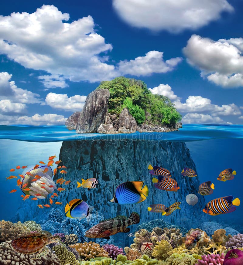 Tropical Island and Coral Reef Split View with Waterline Stock Image ...