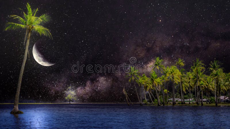 Tropical Island Landscape with Beautiful Starry Night Stock Photo ...