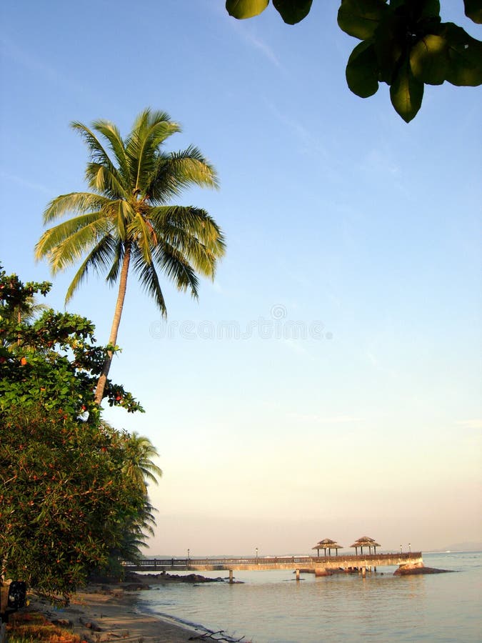 Tropical island life stock image. Image of lonely, exclusive - 2150119