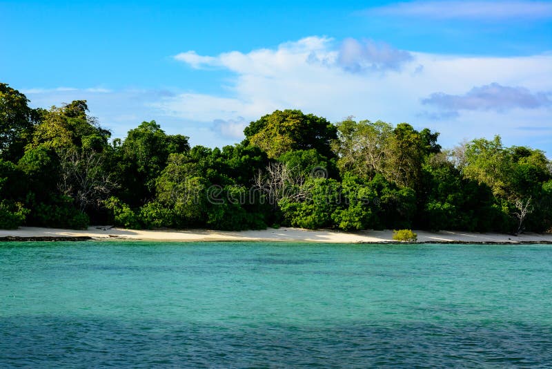 Tropical Island with Native Vegetation and a Small Beach Stock Image ...