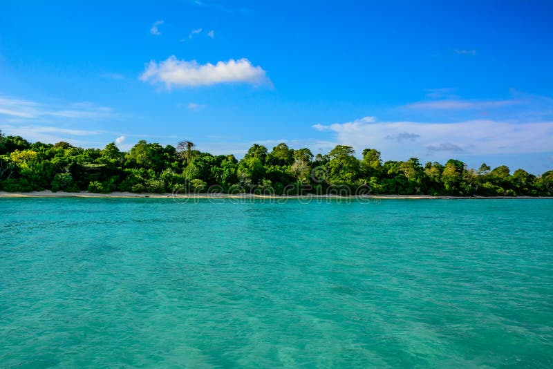 Tropical Island with Native Vegetation Stock Photo - Image of sunny ...