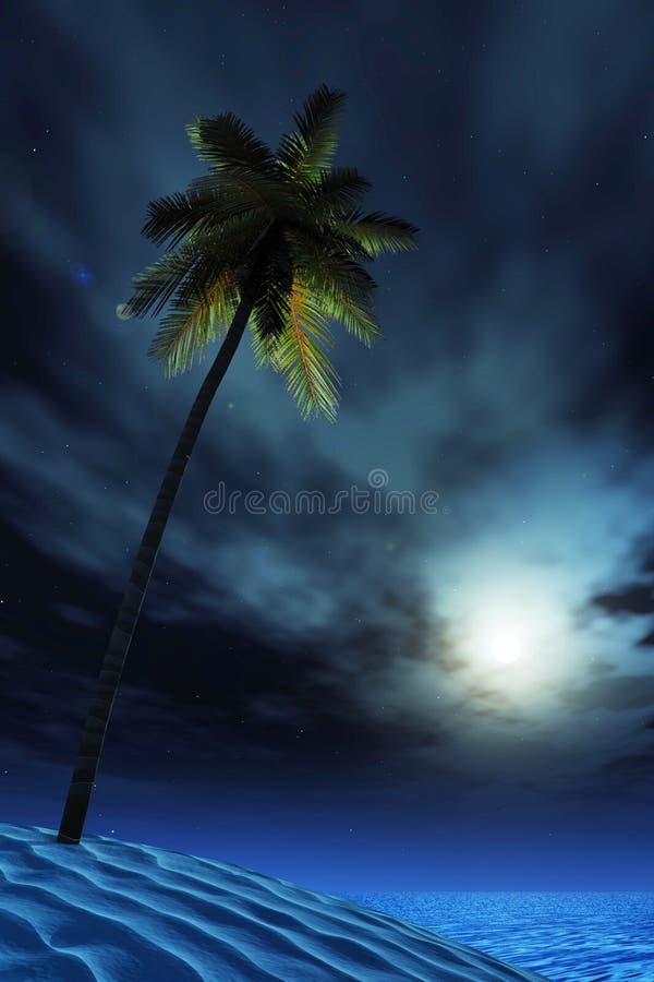 Tropical island by night stock illustration. Illustration of scenic ...