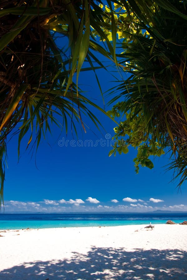 Tropical Island Paradise stock image. Image of ripple - 11114425