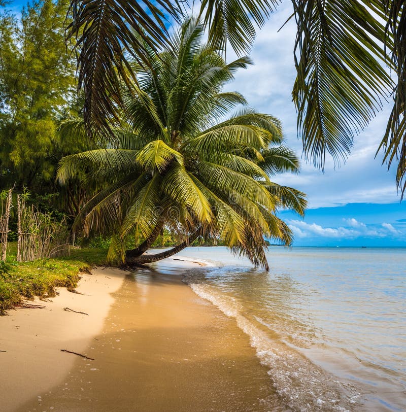 Tropical Island - Sea, Sky and Palm Trees Stock Image - Image of ...