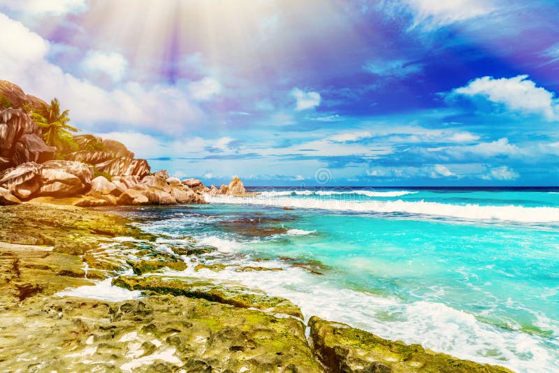 Tropical Island on the Sunny Day Stock Photo - Image of ocean, plant ...