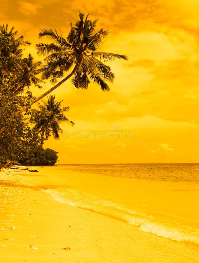 Tropical island at sunset stock image. Image of beach - 9412211