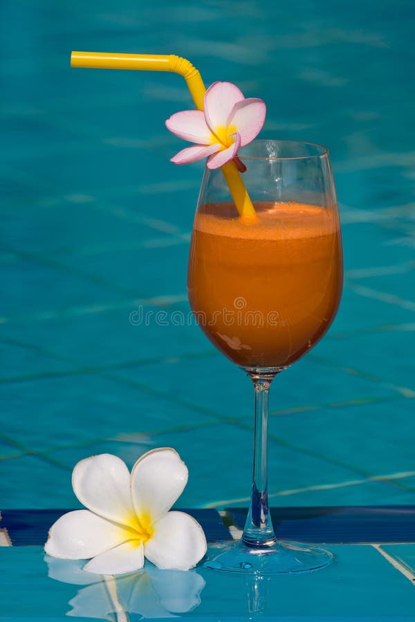 Tropical juice stock photo. Image of cocktail, food, fruit - 32656868