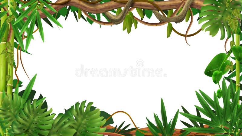 Tropical Jungle Frame Composition Stock Vector - Illustration of ...
