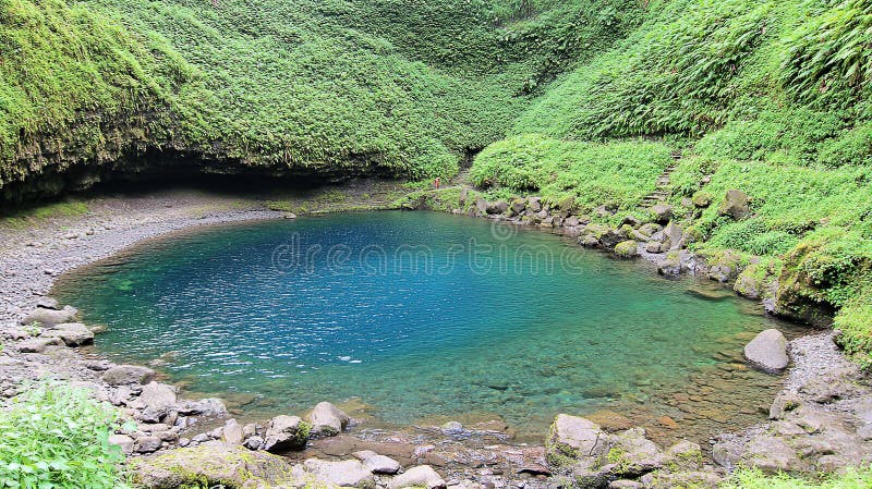 Tropical Jungle Pool, Vibrant Blue Water, Lush Greenery, Hidden Path ...