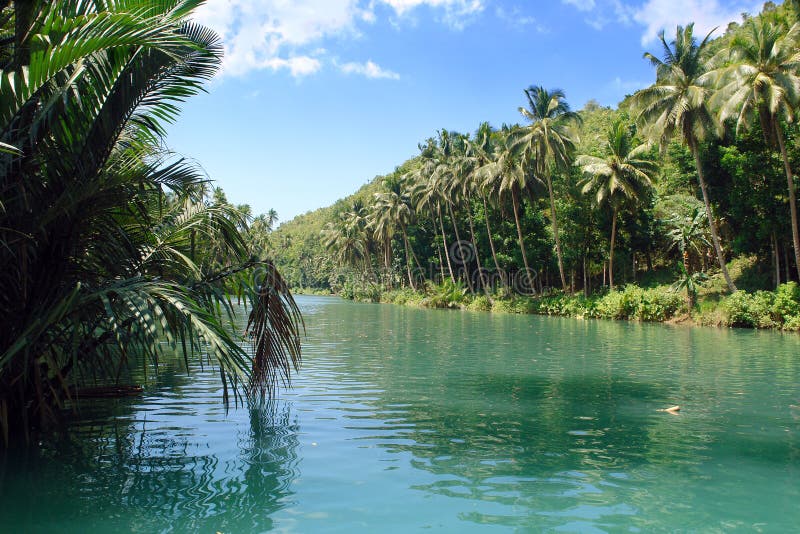 Tropical Jungle River stock image. Image of global, exotic - 4157237