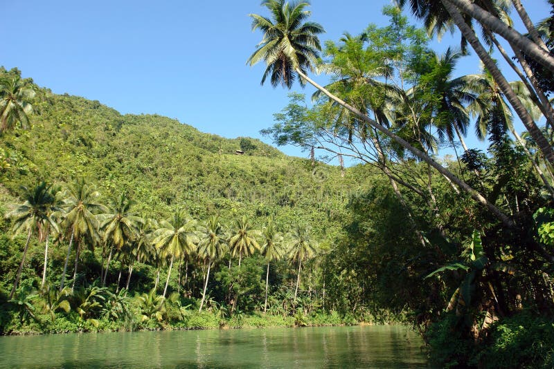 Tropical Jungle River stock image. Image of global, exotic - 4157237