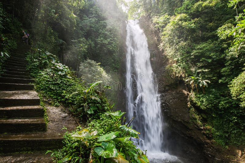 Tropical Jungle Waterfall Landscape Stock Photo - Image of tree, water ...
