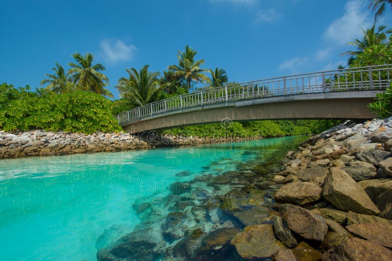 Tropical Lagoon View with Bridge at Maldives Stock Image - Image of ...