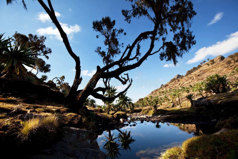 Tropical lake stock photo. Image of lake, water, mirror - 54194366