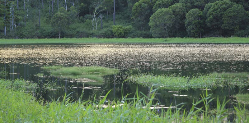 Tropical Lake panorama stock photo. Image of view, tableland - 35596972