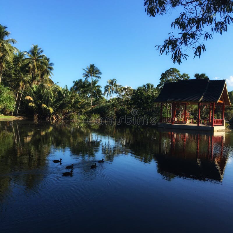 Tropical Lake Side stock image. Image of pavillon, romantic - 77073119