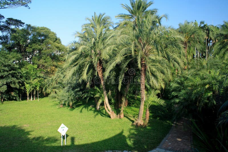 Tropical landscape stock photo. Image of landscape, tree - 1678328