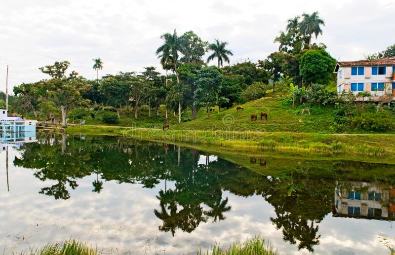 Tropical landscape stock image. Image of riverside, browse - 17050001
