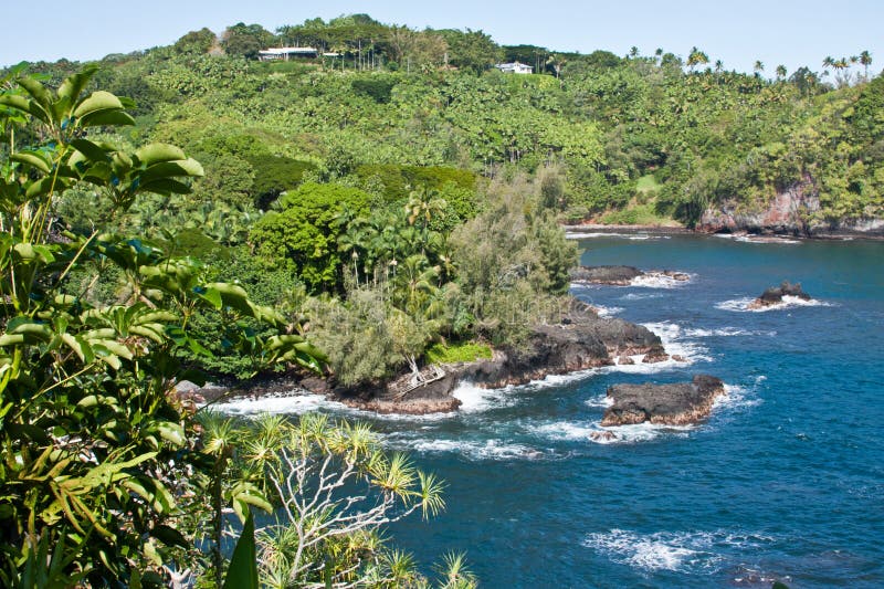 Tropical Landscape stock photo. Image of hilo, island - 19434418