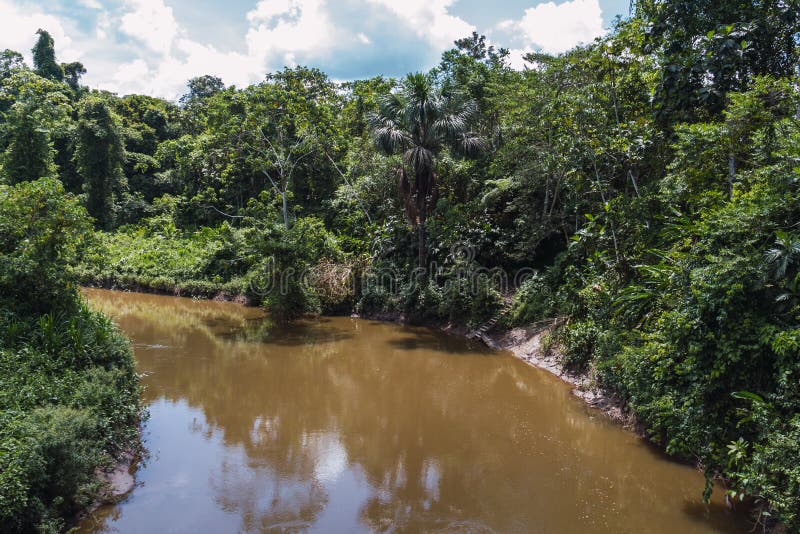 Tropical Landscape, Amazon, Riverside, Tilapia Pools Stock Photo ...