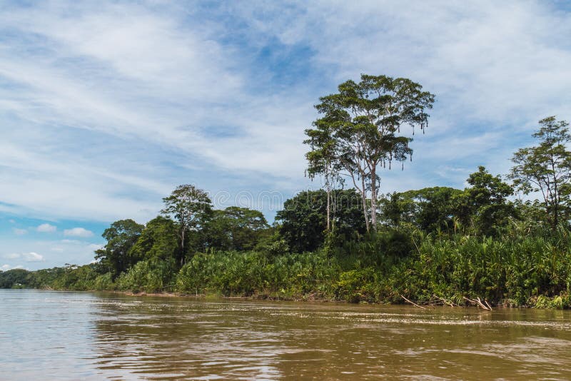 Tropical Landscape, Amazon, Riverside, Tilapia Pools Stock Image ...