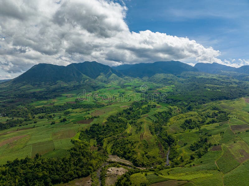 Tropical Landscape and Mountains. Stock Photo - Image of plantation ...